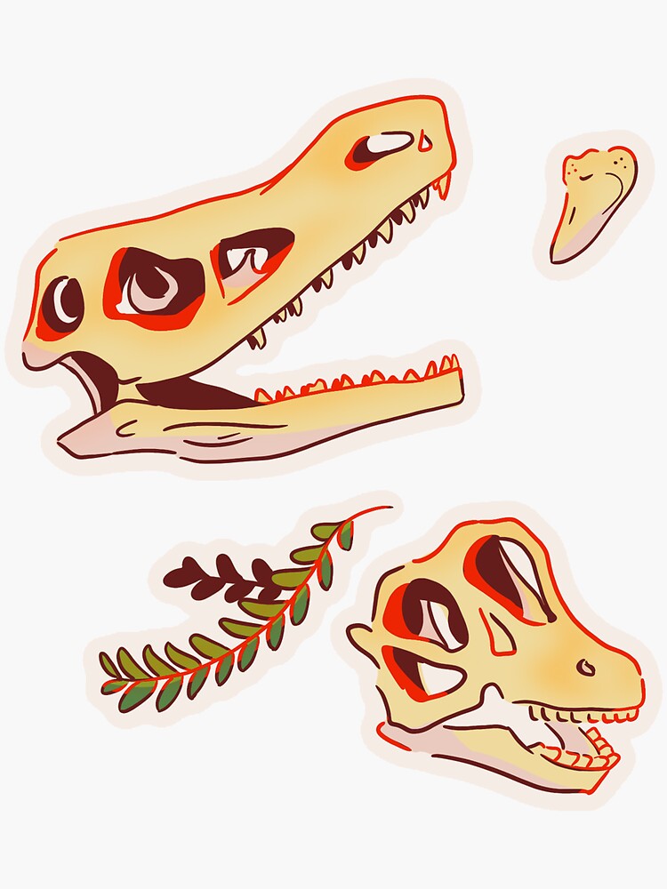 "Dinosaur Skulls" Sticker for Sale by dinodrawrs | Redbubble