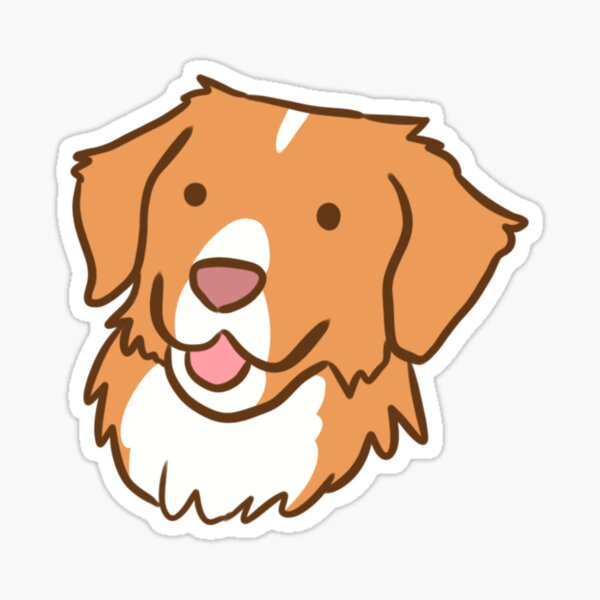 "Nova Scotia Duck Tolling Retriever illustration " Sticker for Sale by ...