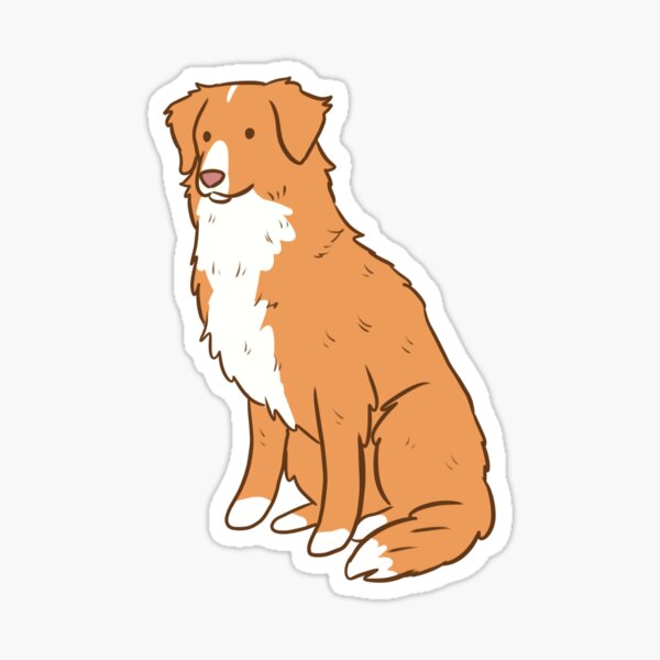 "Nova Scotia Duck Tolling Retriever illustration " Sticker for Sale by ...