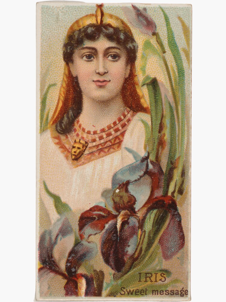 "Iris | Sweet Message" Sticker for Sale by AnimaliaStar | Redbubble