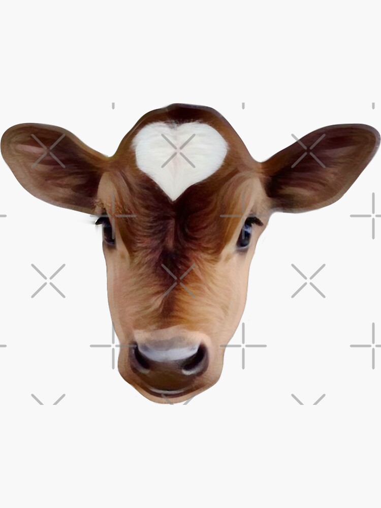 "Calf" Sticker for Sale by mexdani | Redbubble