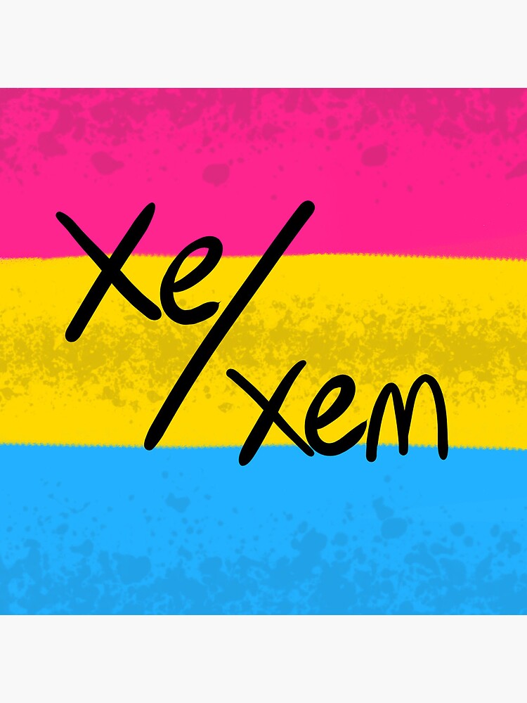 "Pansexual Pan Panromantic Xe/Xem Pronoun Pin Pride Flag LGBT LGBTQIA ...