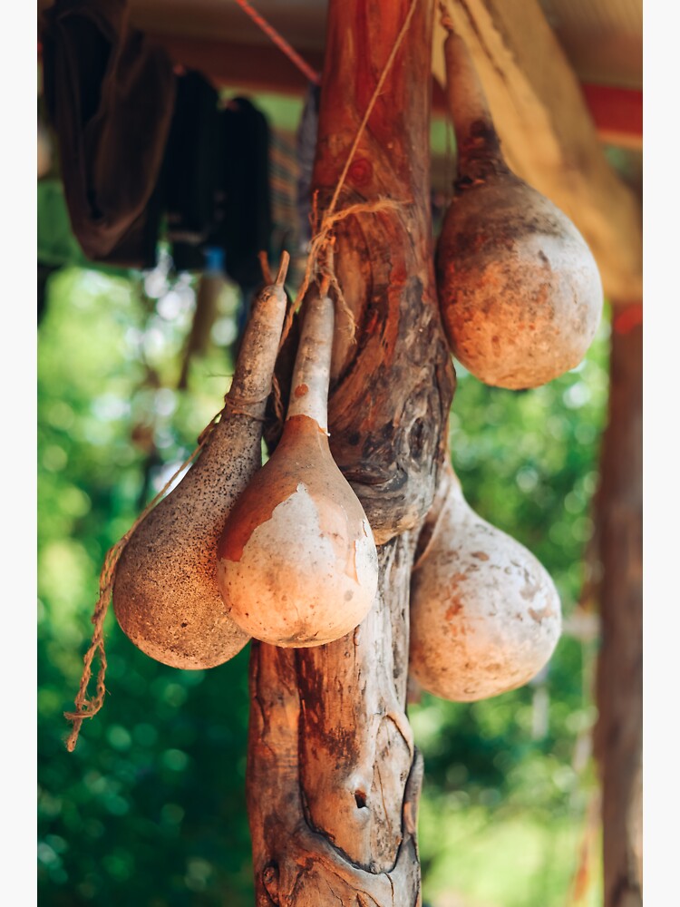 "african music calabash" Sticker for Sale by Phanaturalis | Redbubble