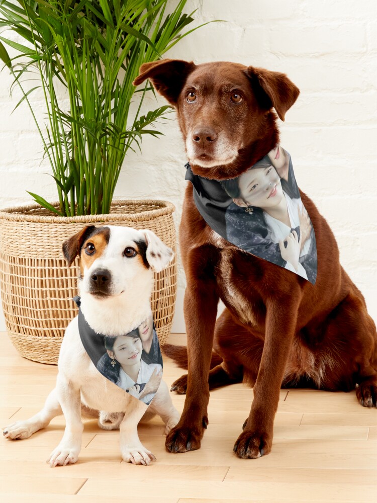IU and Lee Jong Suk Pet Bandana for Sale by OtakuPH