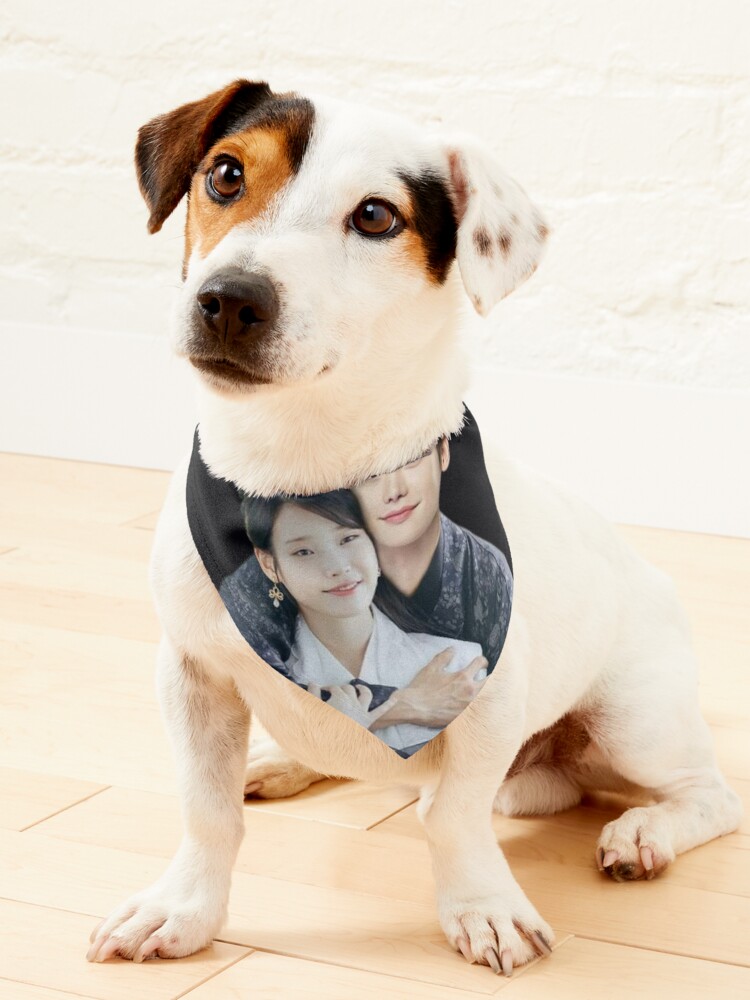 Iu dog bandana store