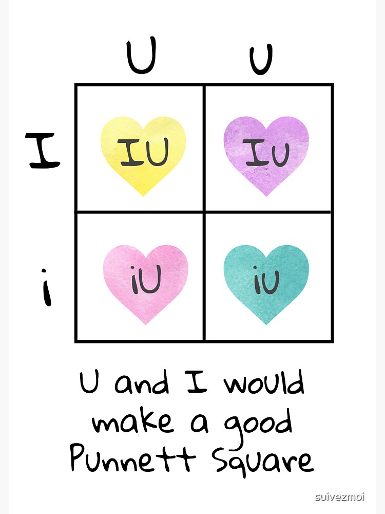 "Punnett Square Valentine Biology Science Nerd Chemistry" Sticker for ...