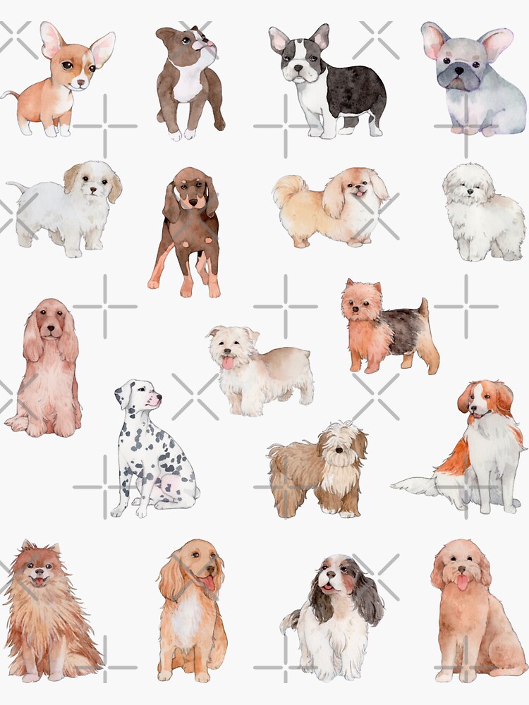 "dog breeds" Sticker for Sale by Animster | Redbubble