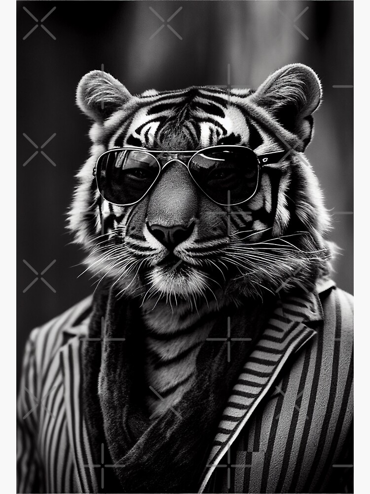 "Tiger Boss: A Black and White Portrait" Sticker for Sale by ...