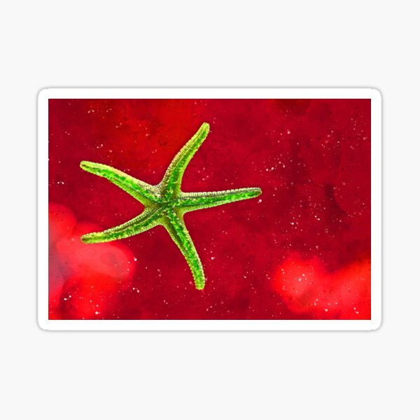 " Star Fish Ocean Watercolour Digital Painting" Sticker for Sale by ...