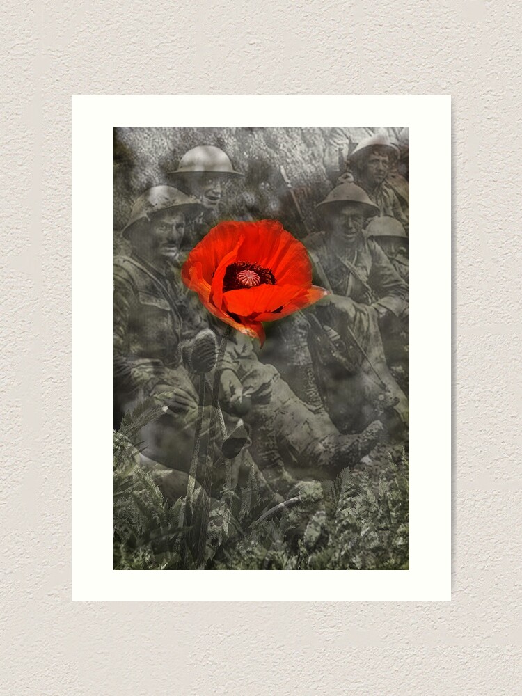 "In Flanders Fields" Art Print for Sale by pursuits | Redbubble