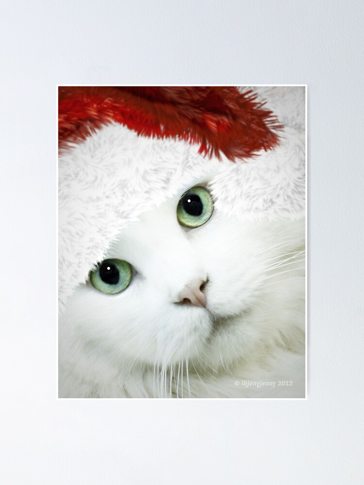 "Wrapping Presents 101 for Cat Owners" Poster by ibjennyjenny | Redbubble