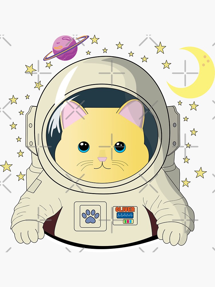 Ap Lang Space Cat Cute Cat Fanny Cat Sticker For Sale By Nndraw