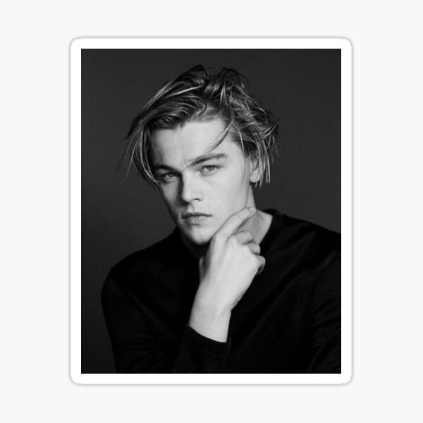 "Leonardo DiCaprio - Poster" Sticker for Sale by Riobard9 | Redbubble