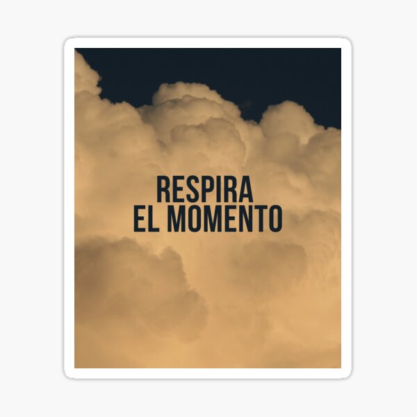 "Copia de Respira el momento" Sticker for Sale by esmivida | Redbubble