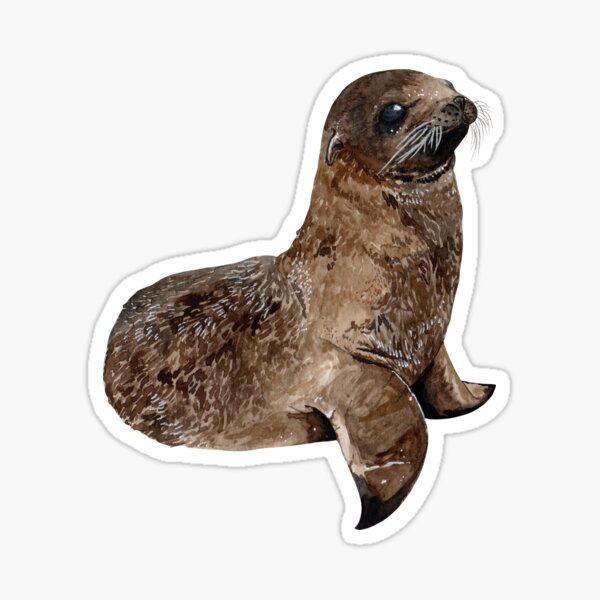 "BABY SEA LION" Sticker for Sale by bananaflamingo | Redbubble