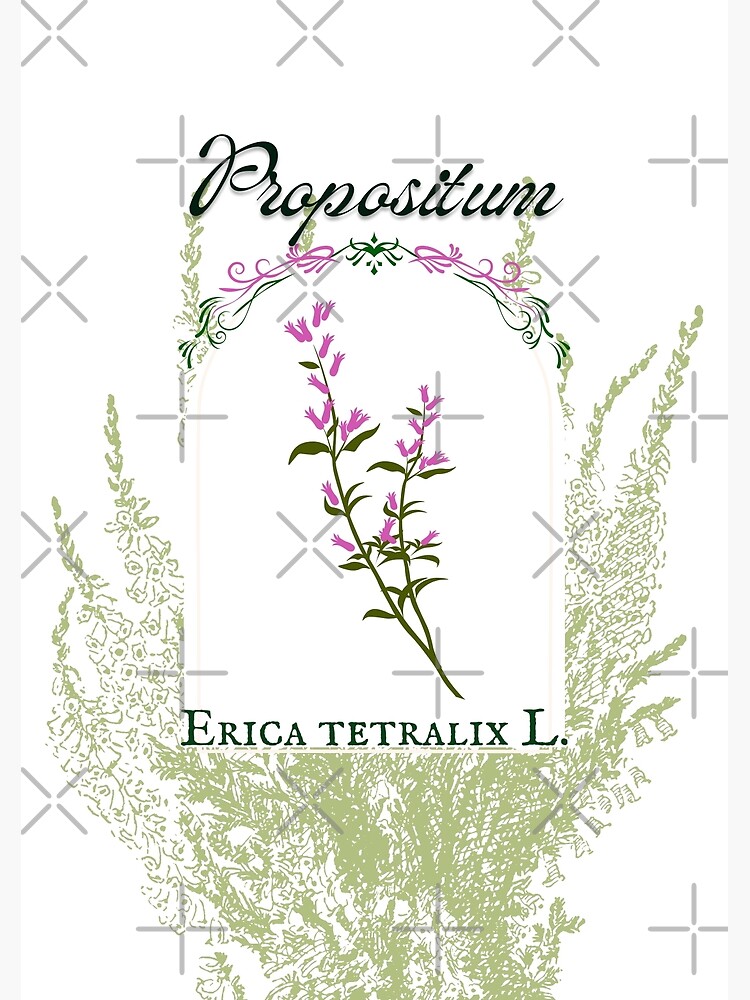 "Erica tetralix - a symbol of purpose" Poster for Sale by Silva-Sol ...