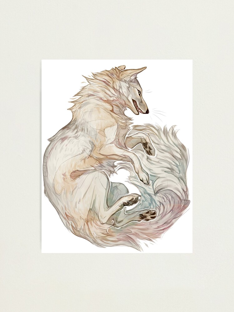 "Corsac fox" Photographic Print for Sale by Giulialibard | Redbubble