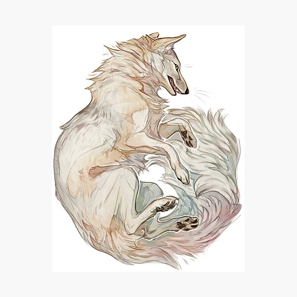 "Corsac fox" Photographic Print for Sale by Giulialibard | Redbubble