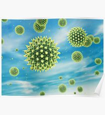 Hay Fever: Posters | Redbubble