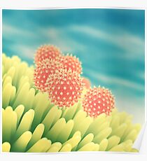 Hay Fever: Posters | Redbubble