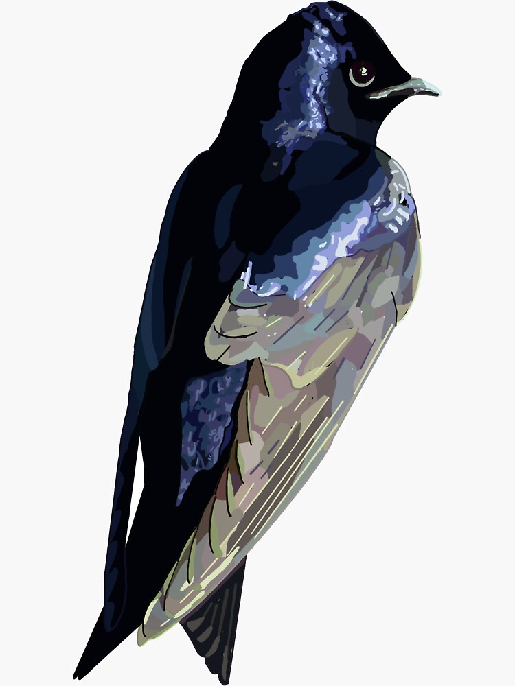 "Purple Martin" Sticker for Sale by Garrart1 | Redbubble