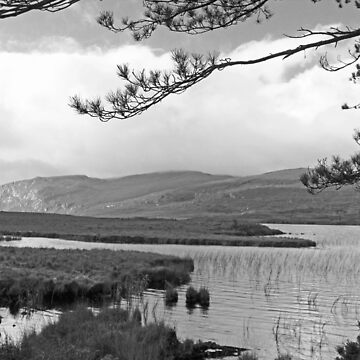 "Glenveagh National Park Black and White" Sticker for Sale by ...