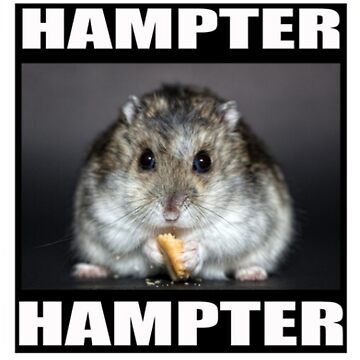 "Hampter meme funny" Sticker by DreamMeArt | Redbubble
