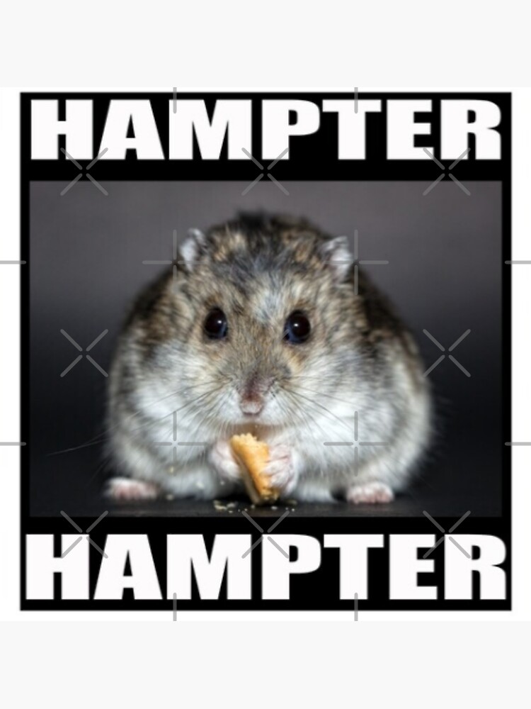 "Hampter meme funny" Sticker by DreamMeArt | Redbubble