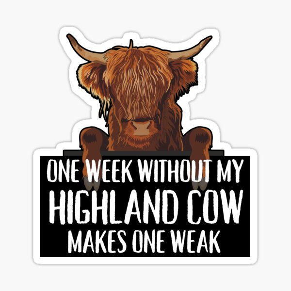 "Highland Cow jokes One week without my Highland cow makes one weak ...