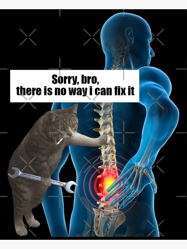 "Sorry Bro No Way I can Fix it Massage Chiropractor Funny Cat Smoking ...