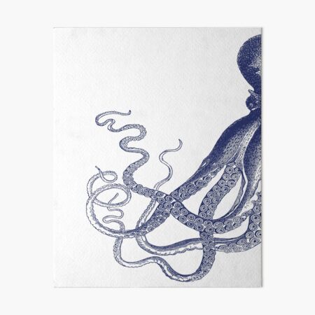 "Half Octopus | Left Side | Vintage Octopus | Tentacles | Sea Creatures ...