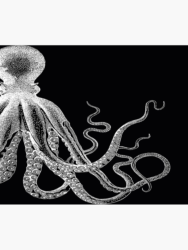 Half Octopus | Right Side | Vintage Octopus | Tentacles | Sea Creatures ...