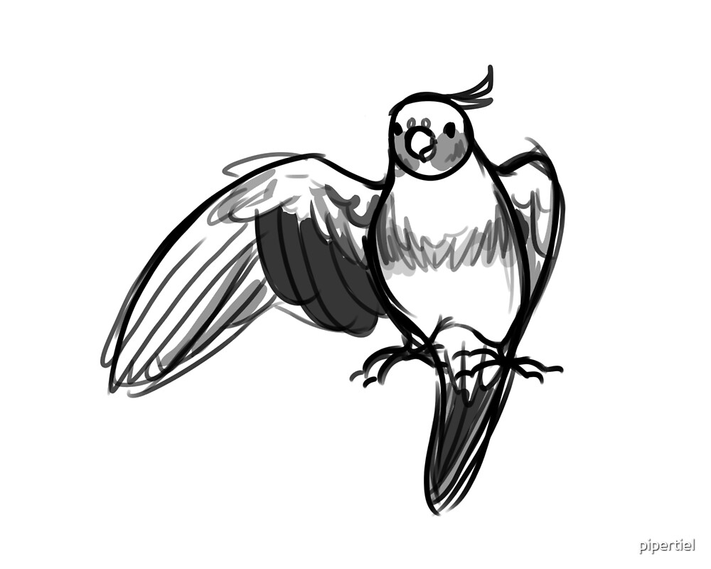 "Piper Sketch 2" by pipertiel | Redbubble