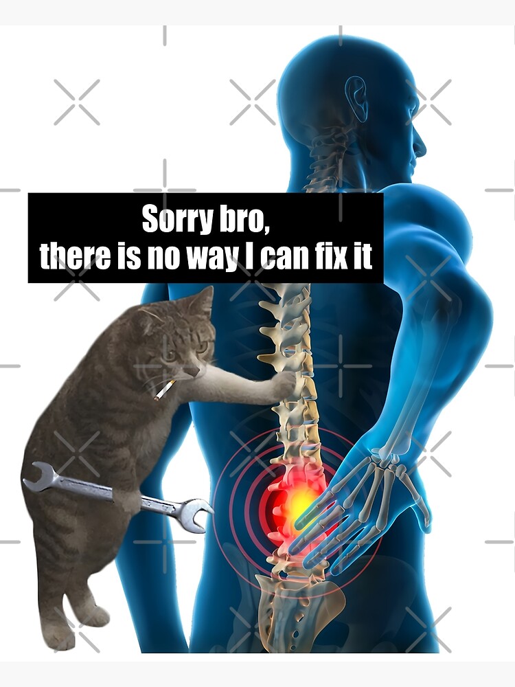 "Funny Cat Smoking Meme Sorry Bro No Way I can Fix it Massage ...