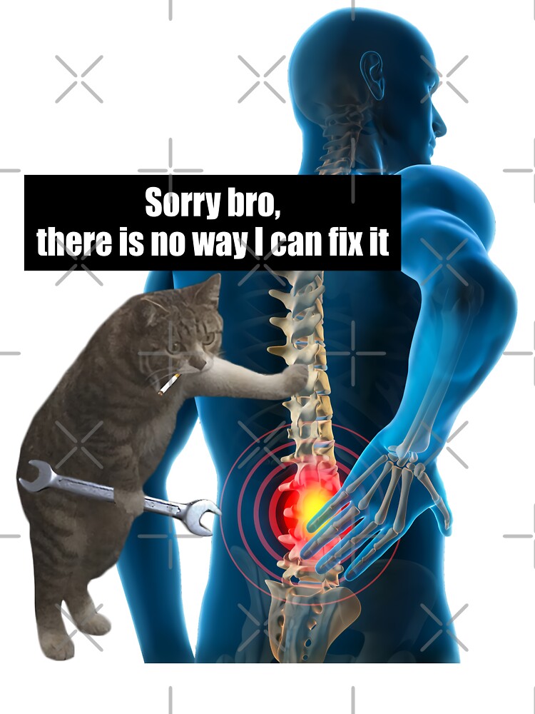 Backache Cat Memes Top 20 Cat Memes Of The Week Cheezburger Users