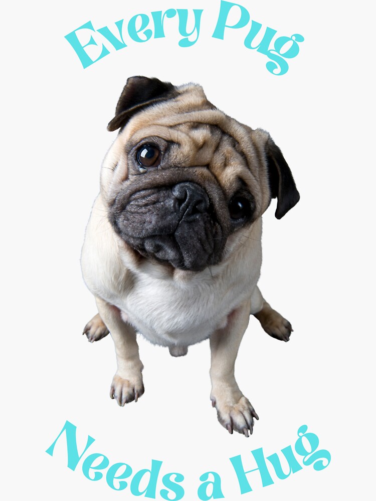 "Every pug needs a hug" Sticker for Sale by LittleCorCor | Redbubble