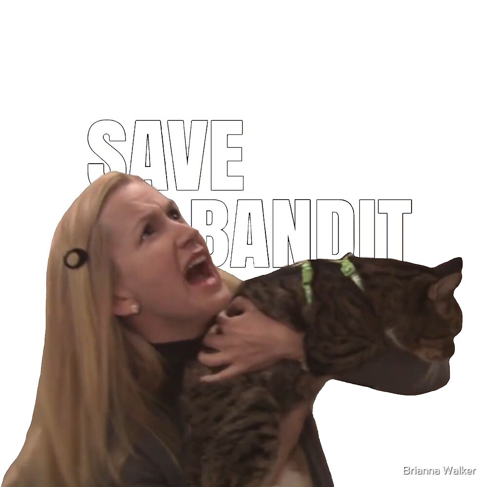 "The Office - Save Bandit" by Brianna Walker | Redbubble