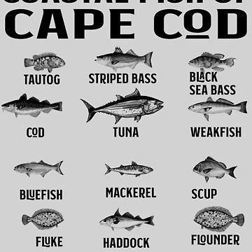 "Cape Cod Fishing Souvenir Coastal Fish Of Cape Cod " Sticker for Sale ...