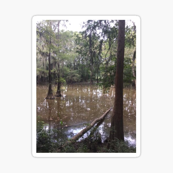 Southern Marsh Stickers | Redbubble
