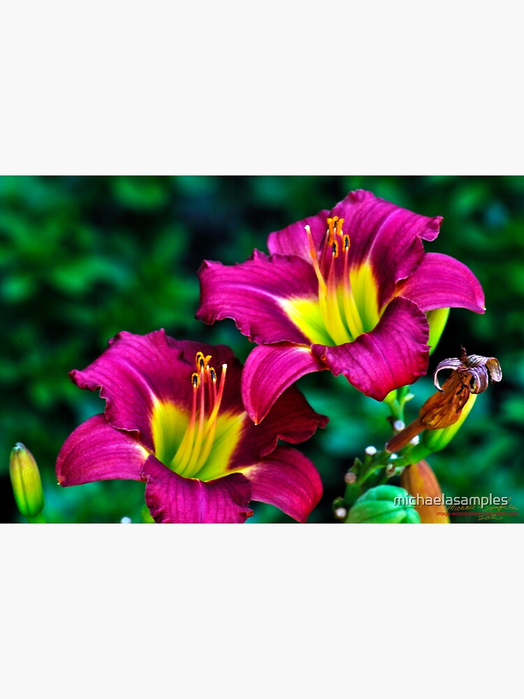 "Laughter" Sticker by michaelasamples | Redbubble