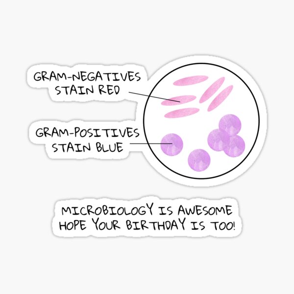 "Science Birthday Microbiology Gram Stain Poem Lab Bacteria" Sticker ...