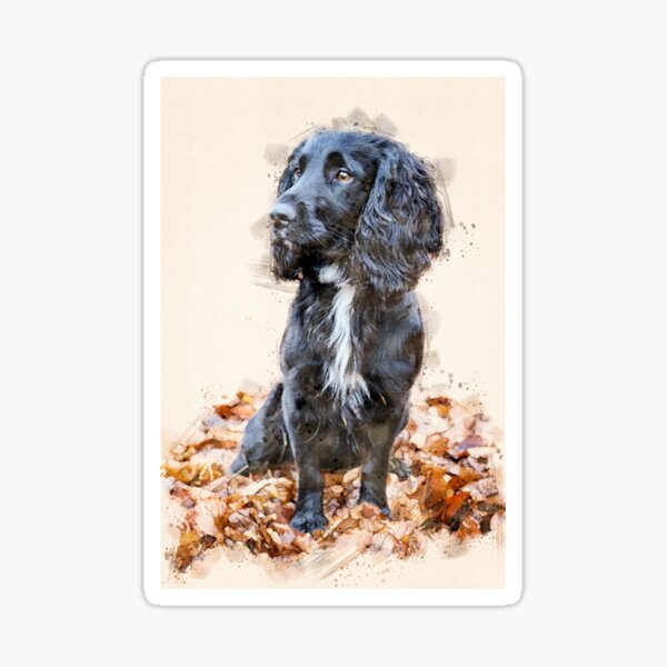"Autumnal Spaniel" Sticker for Sale by FepicDesign | Redbubble