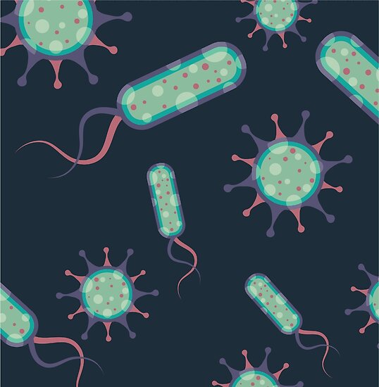 Bacteria Posters School