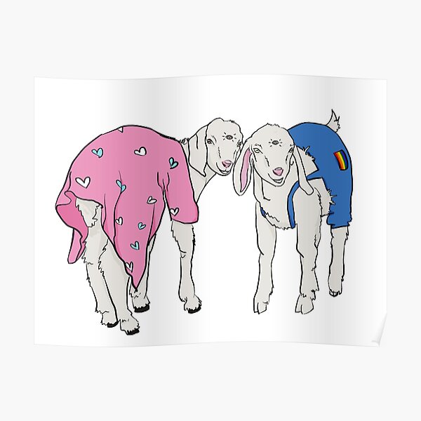 "Gossiping goats with third eye in trans and rainbow pride flag clothes ...