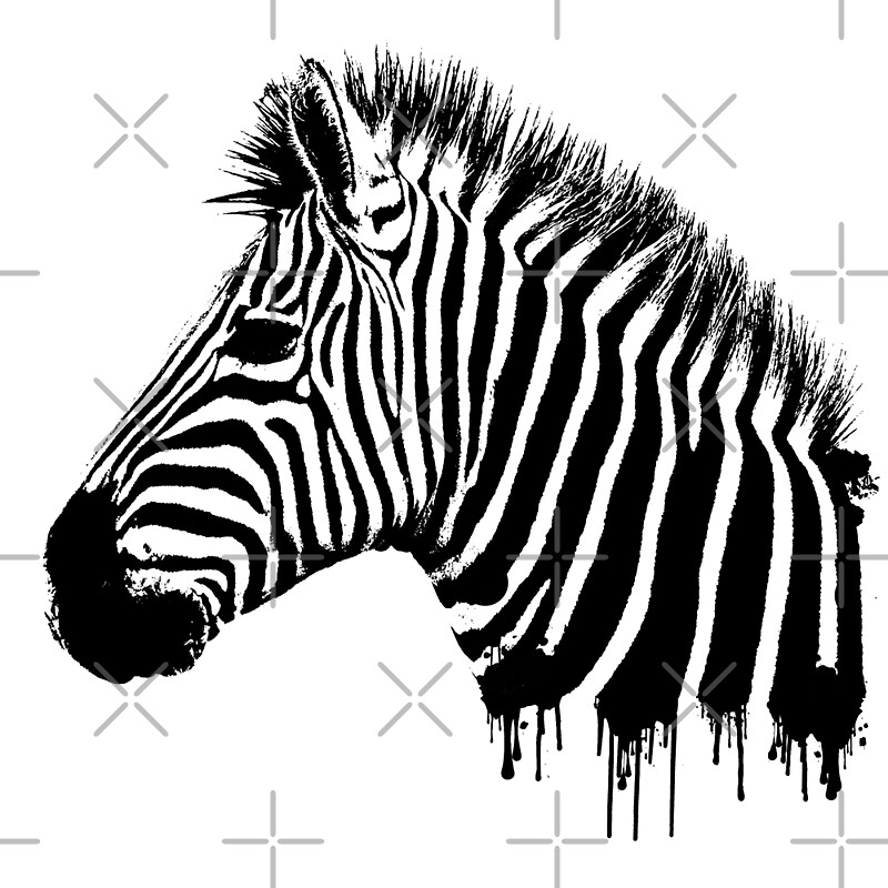 "Zebra paint drip" by monsterplanet | Redbubble