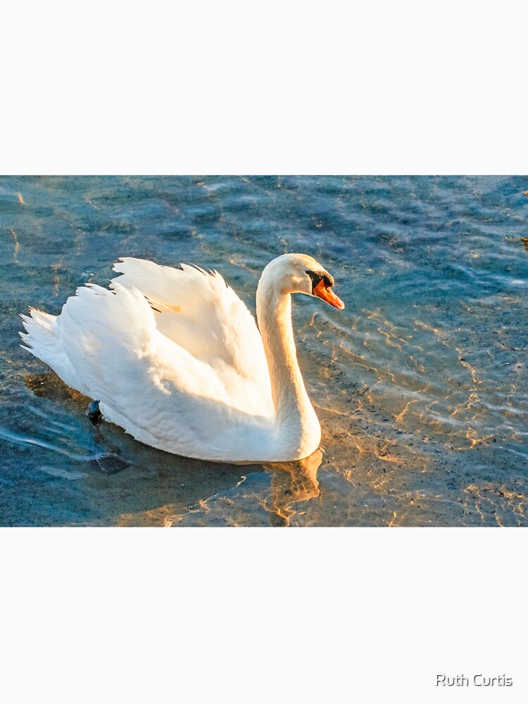 "Perfect pose of Swan power " T-shirt for Sale by Ruthie33 | Redbubble ...