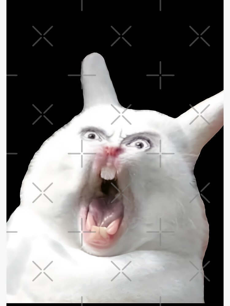 Shocked Rabbit Memes