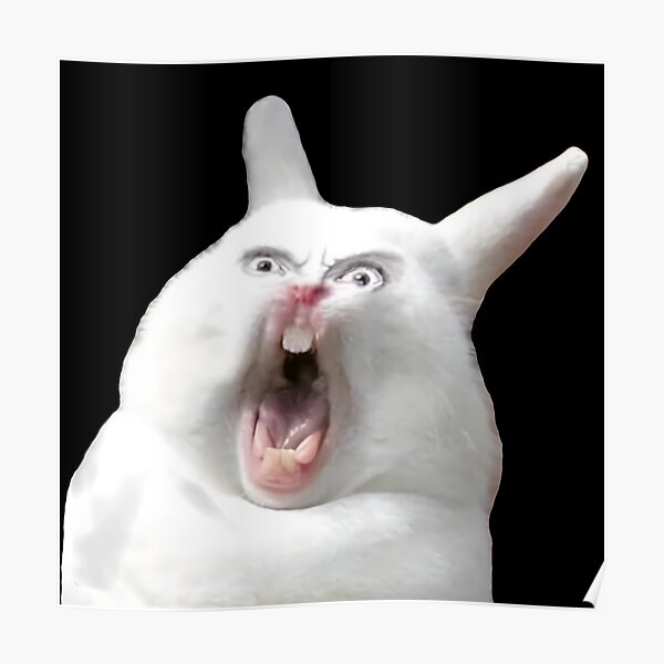 "Silly Angry Bunny Screaming Rabbit Face Funny Meme" Poster for Sale by ...
