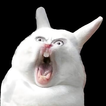 "Silly Angry Bunny Screaming Rabbit Face Funny Meme" Art Print for Sale ...