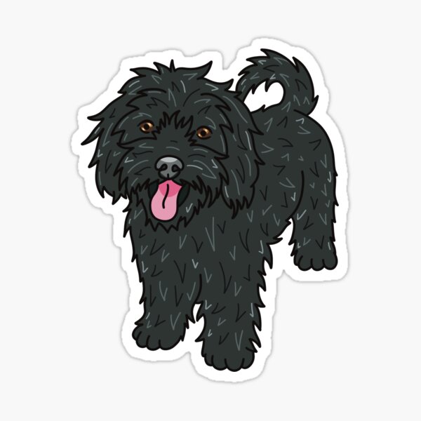 "Black Dog Cavoodle Cavapoo Cavapoochon " Sticker for Sale by ...